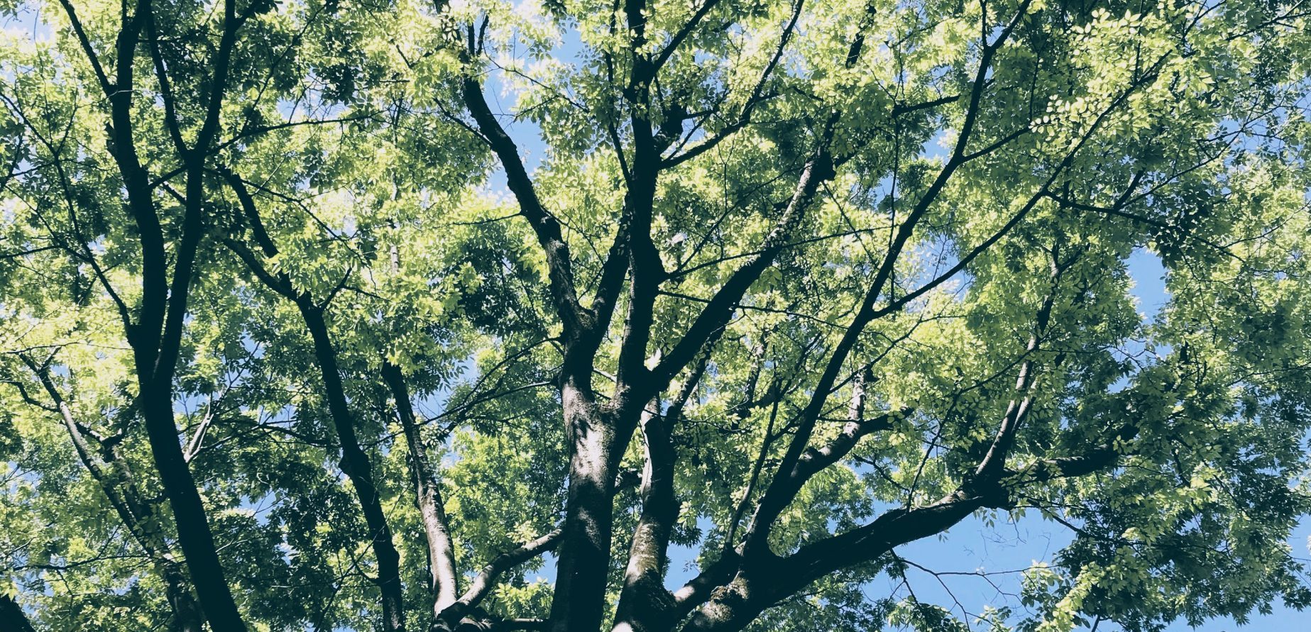 COMHCa | 人と人と人 対話と協働のコミュニティ