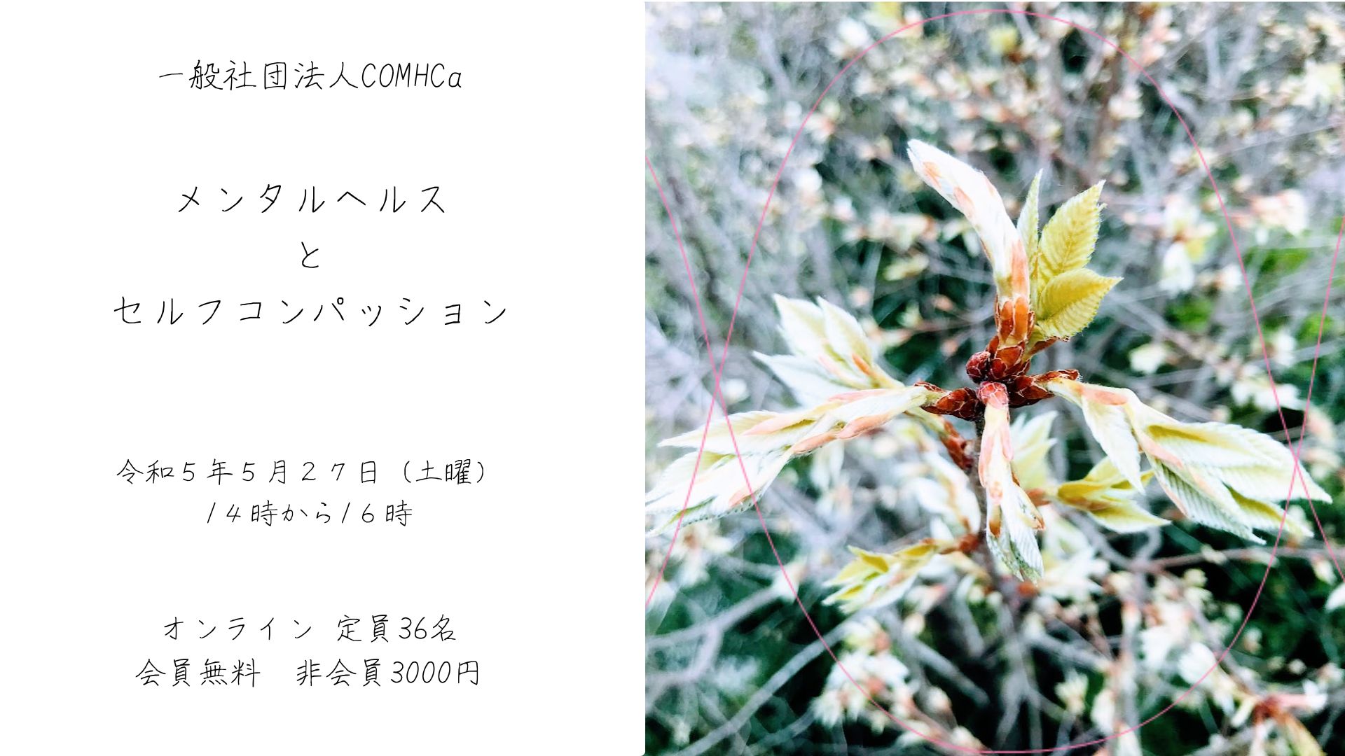 オンラインワークショップ「メンタルヘルスとセルフコンパッション」のお知らせ | COMHCa